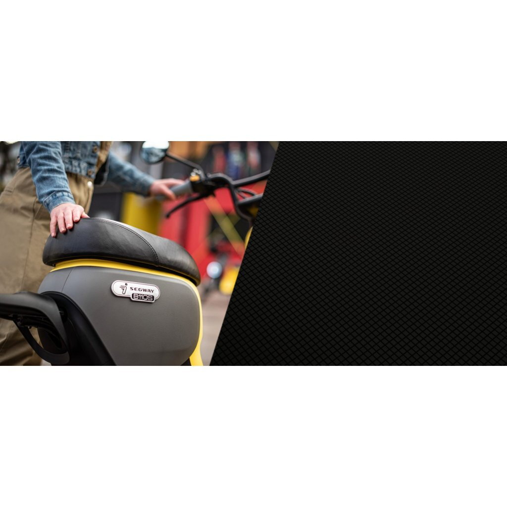 Segway eScooter B110S